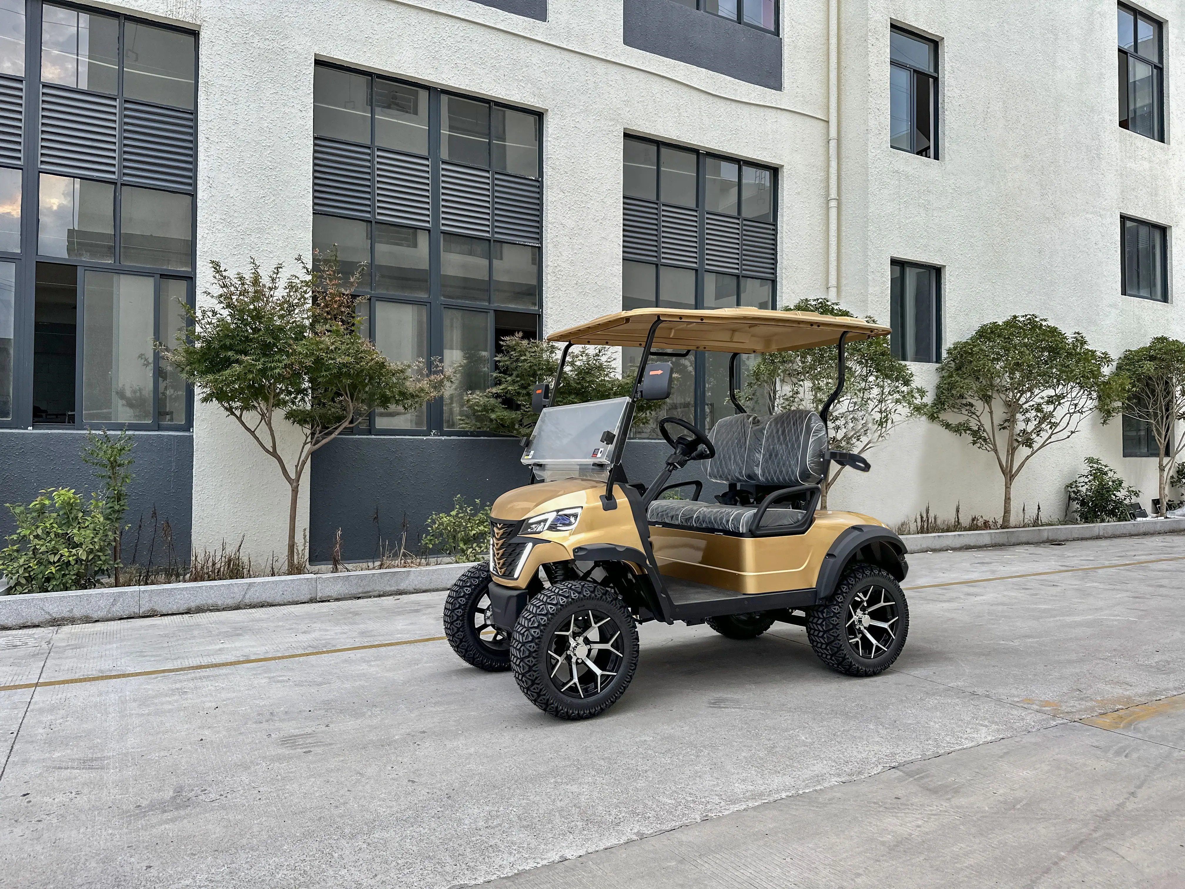 3-4 Seats Electric Golf Cart for Single Person Lightweight with GPS ...