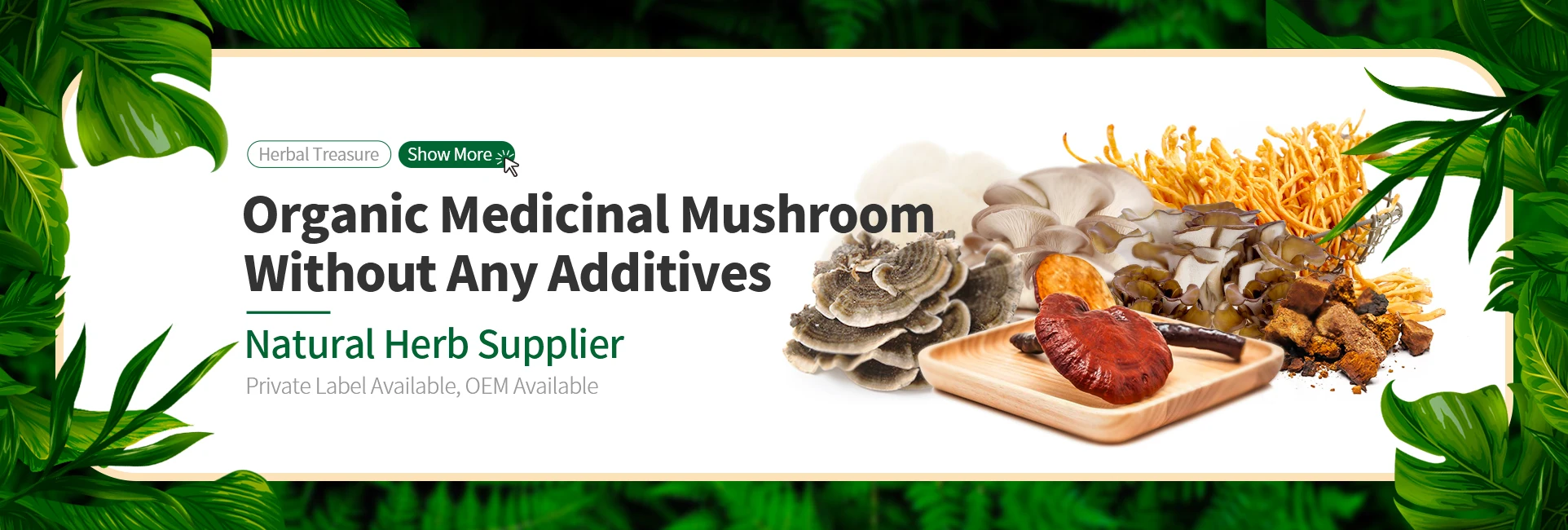 Organic Ganoderma Lucidum/ Lingzhi/ Reishi/ Extract Mushroom Herbal ...