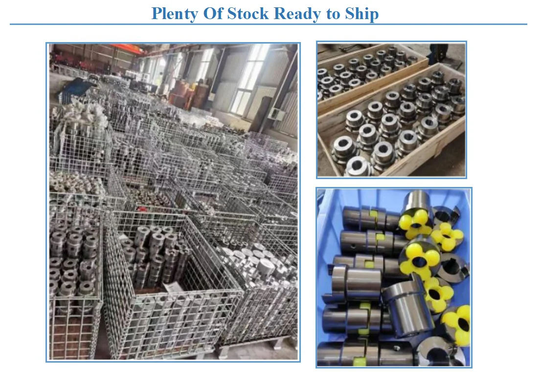 8 Type Encoder Coupling D40-L50 6mm-12mm Flexible Coupling