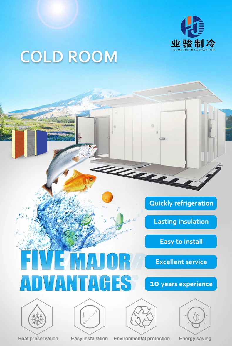 40 Feet Container Solar Cold Room Commercial Solar Powered Cold Storage ...