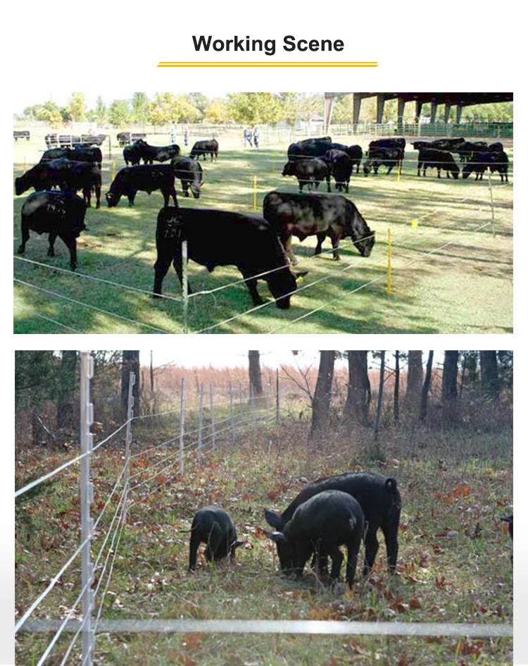 High Strength Removable Outdoor Electric Fiberglass Fence Post