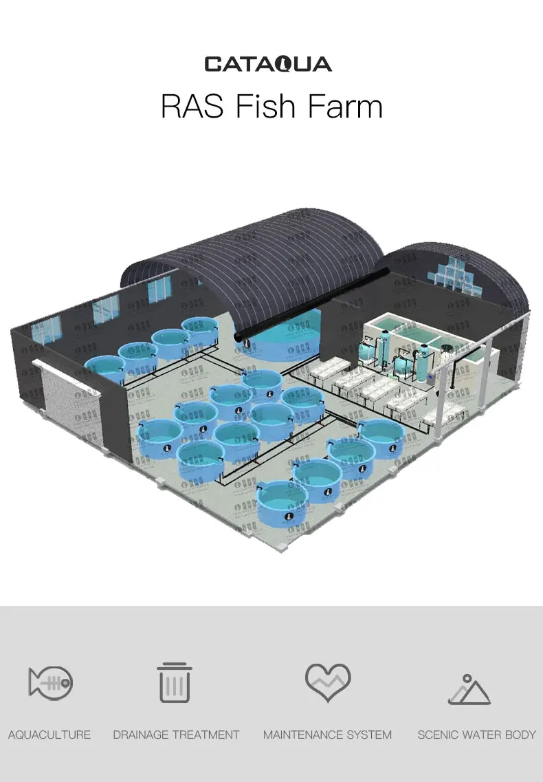 Cataqua Fish Equipments Ras Fish Farming System Recirculating ...