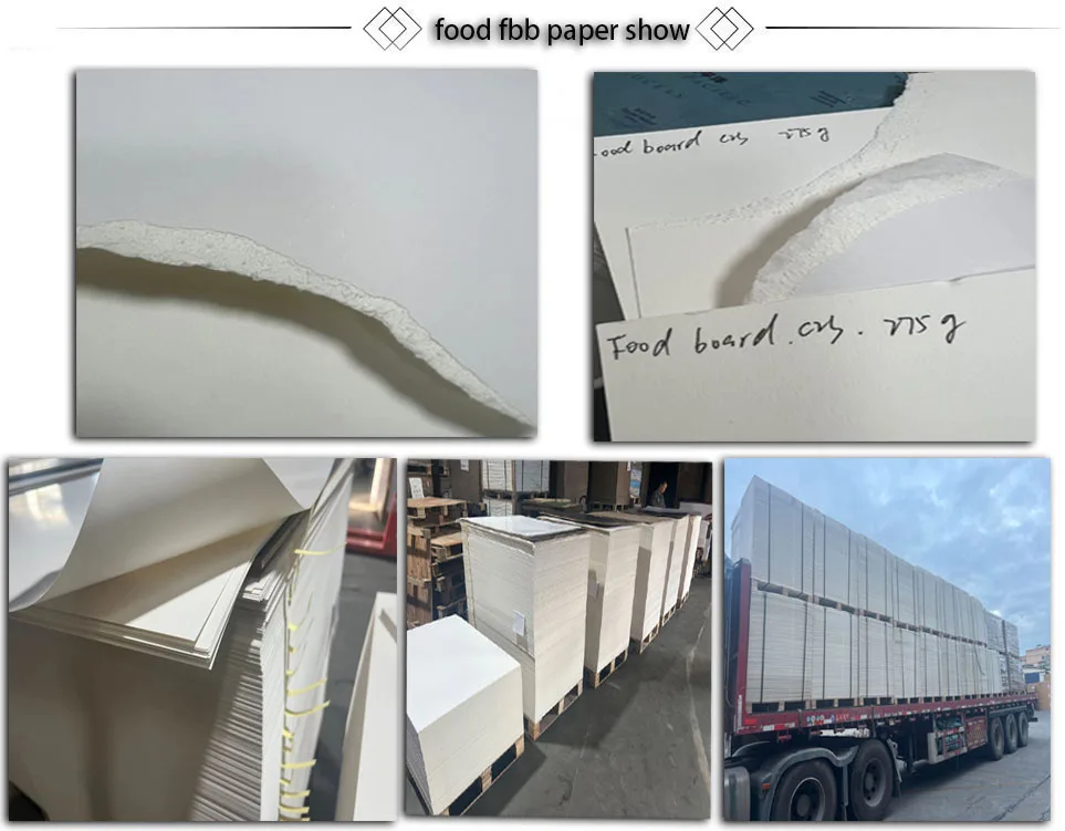 Ningbo Fold Paper Board C1S Coated 300gsm 350gsm Fbb