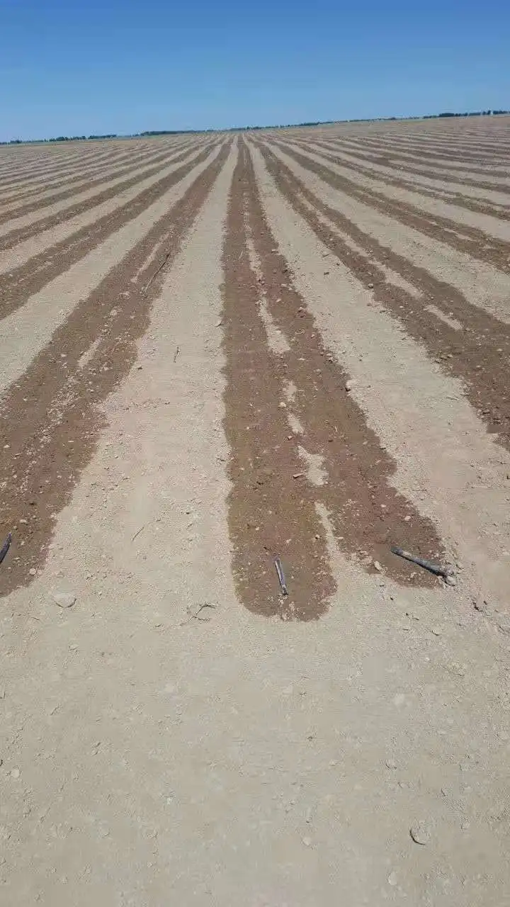 Buried Drip Tape 40cm Subsurface Drip Tape Underground Drip Irrigation ...