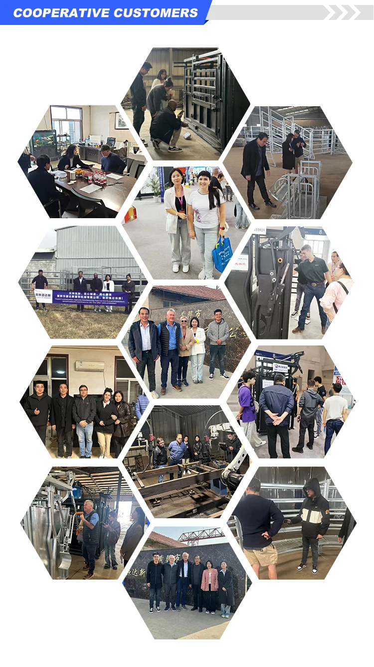 Sheep Headlock - Durable and Versatile Goat Farming Design