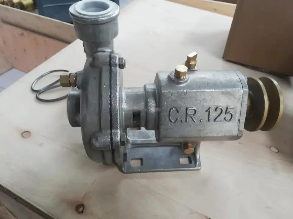 Stainless Steel Sea Water Pump for Marine Engines - CR100, CR125, CR150 ...