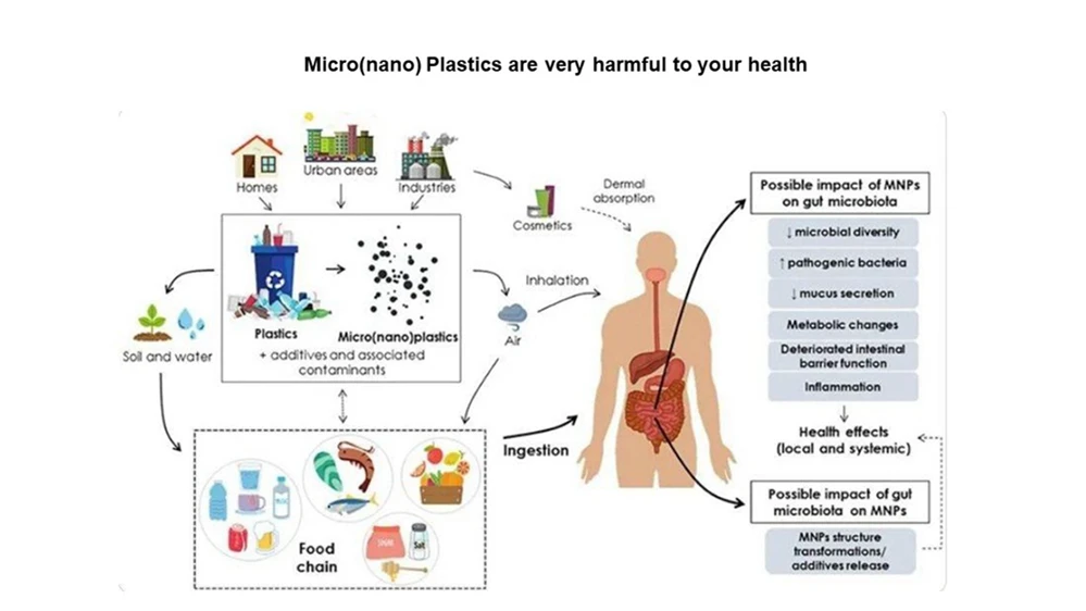 Pha Pbs U Shape Straw For Drinks -100% Biobased Fully Home Compostable ...