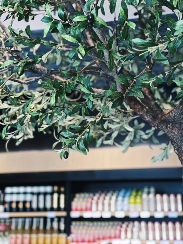 YOUTUBE TIK TOK Instagram Giant Artificial FAUX Olive Tree Artificial ...