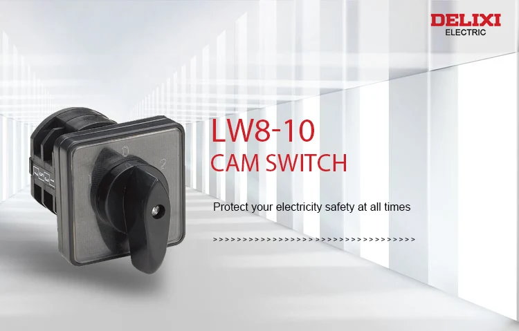 380v 50hz Self-resetting And Positioning Type Lw8-10 Series Rotary Cam ...