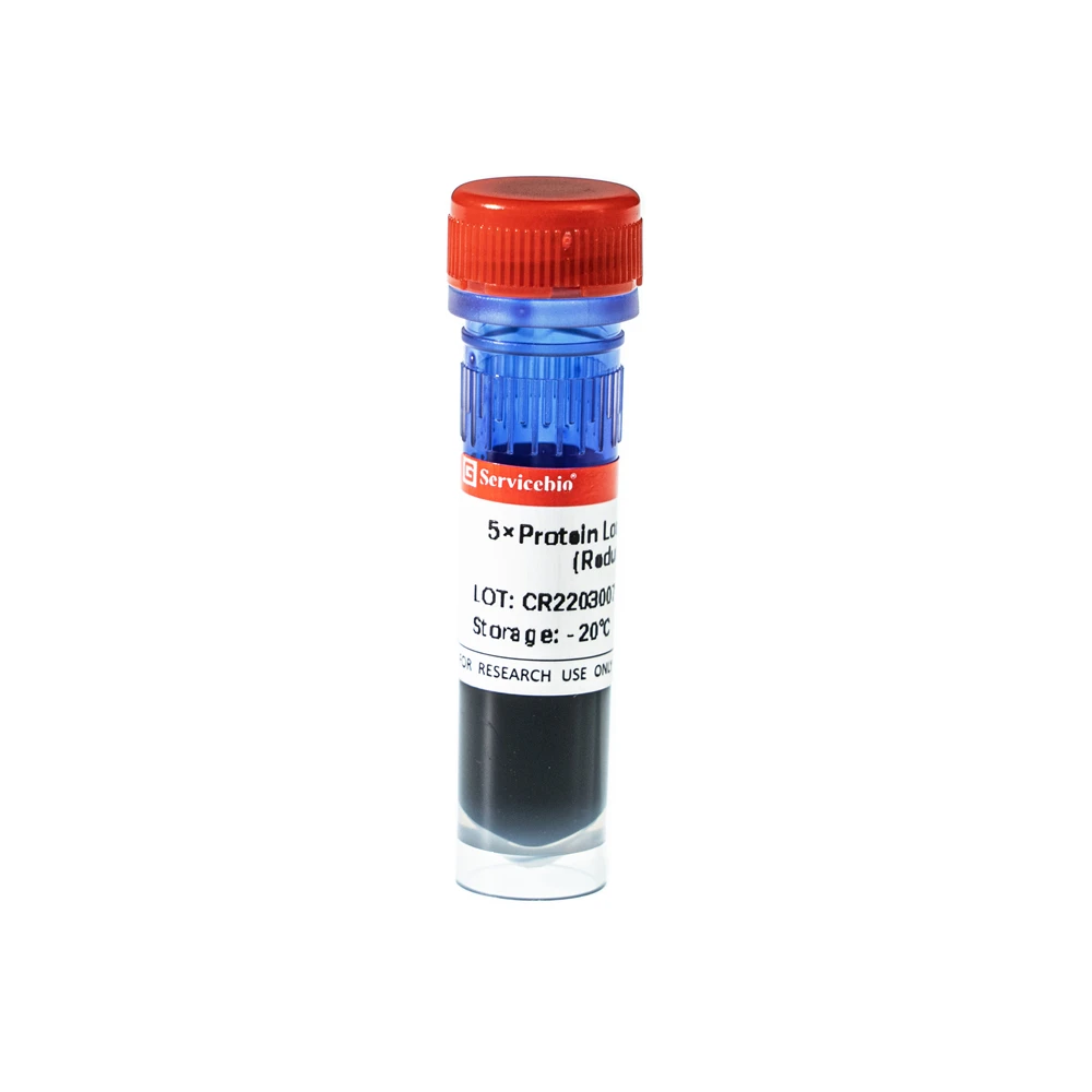 Lab Chemicals Biological Reagents Reduced 5x Sds-page Loading Buffer ...