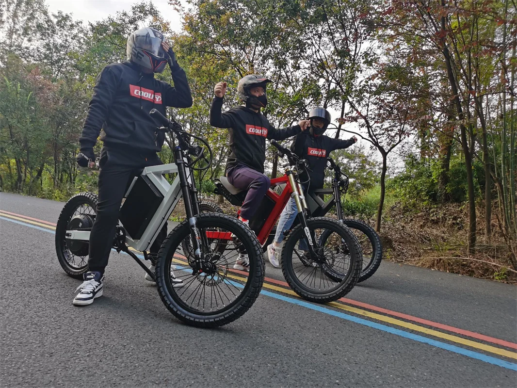 Aluminum Alloy Frame Torque Sensor Electric Mountain Bike 8000w Full ...