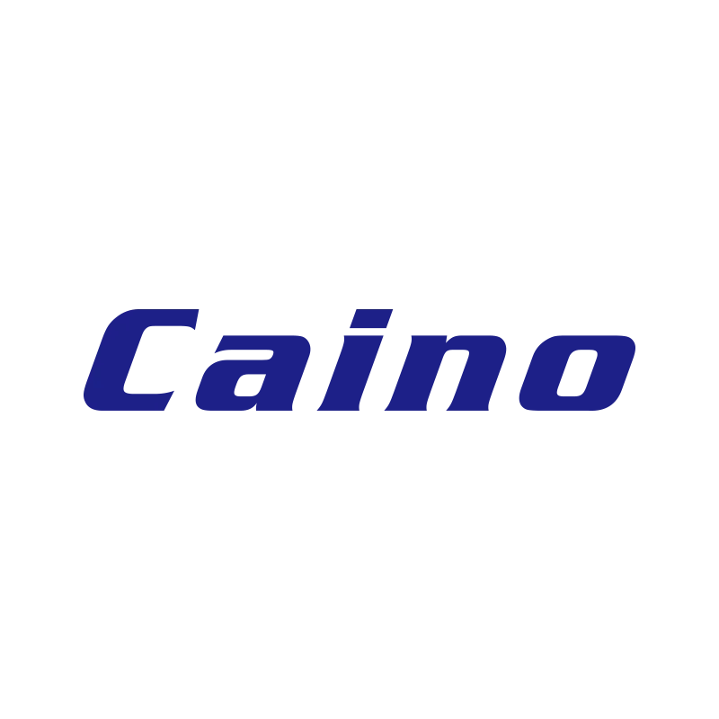 Company Overview - CAINO INTERNATIONAL INC
