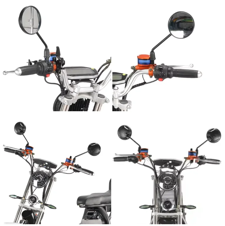 Citycoco Spare Parts - CP7 Citycoco Scooter Accelerator Handle and Switch
