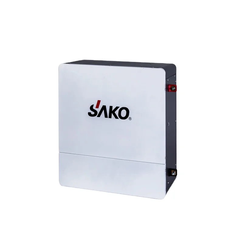 Sako 12v 24v 48v Lithium Ion Battery 100a 200a Home Lifepo4 Lithium Ion ...