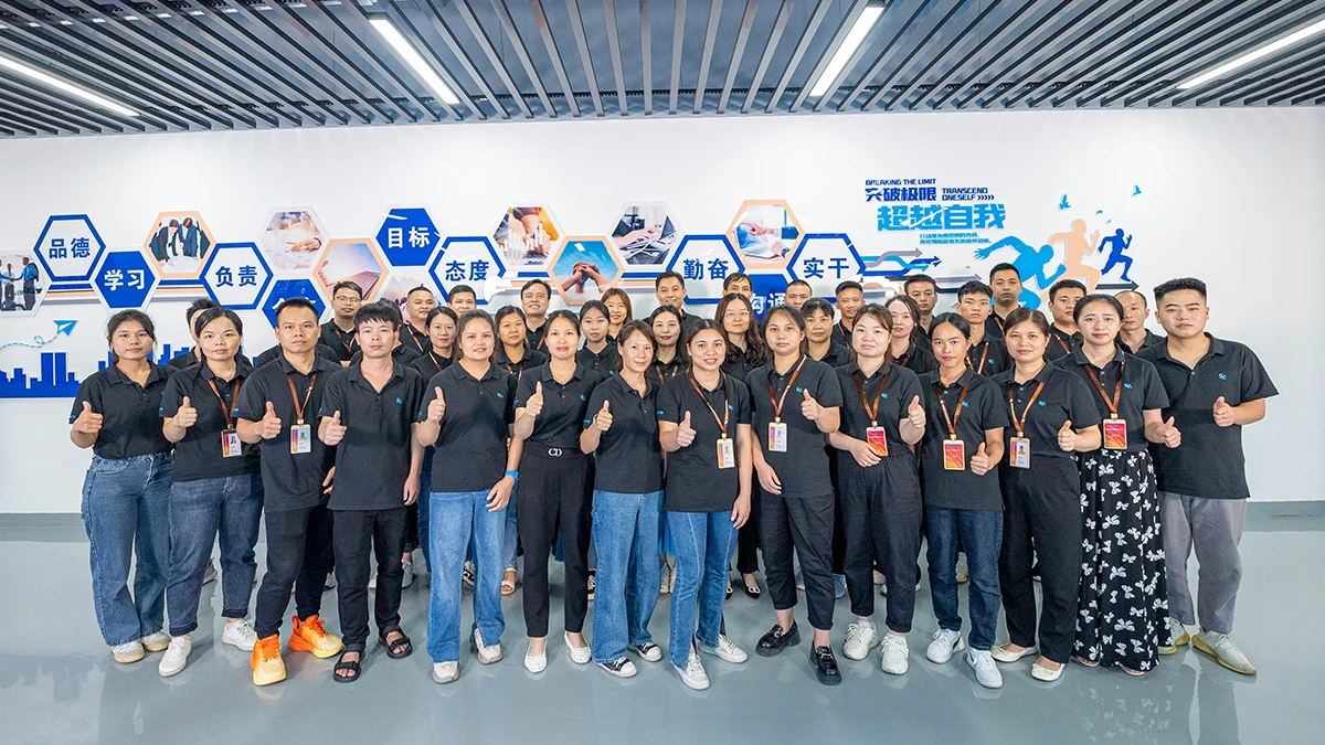 Company Overview - Shenzhen Manwei Brother Technology Co., Ltd.