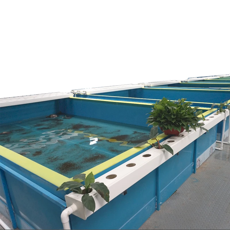 Ras Peralatan Pertanian Udang,Sistem Ras Akuakultur,Resirkulasi Desain ...