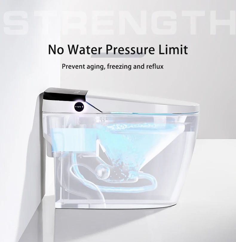 110v/220v Fully Automatic Luxury Modern Design Electronic Wc Toilet ...