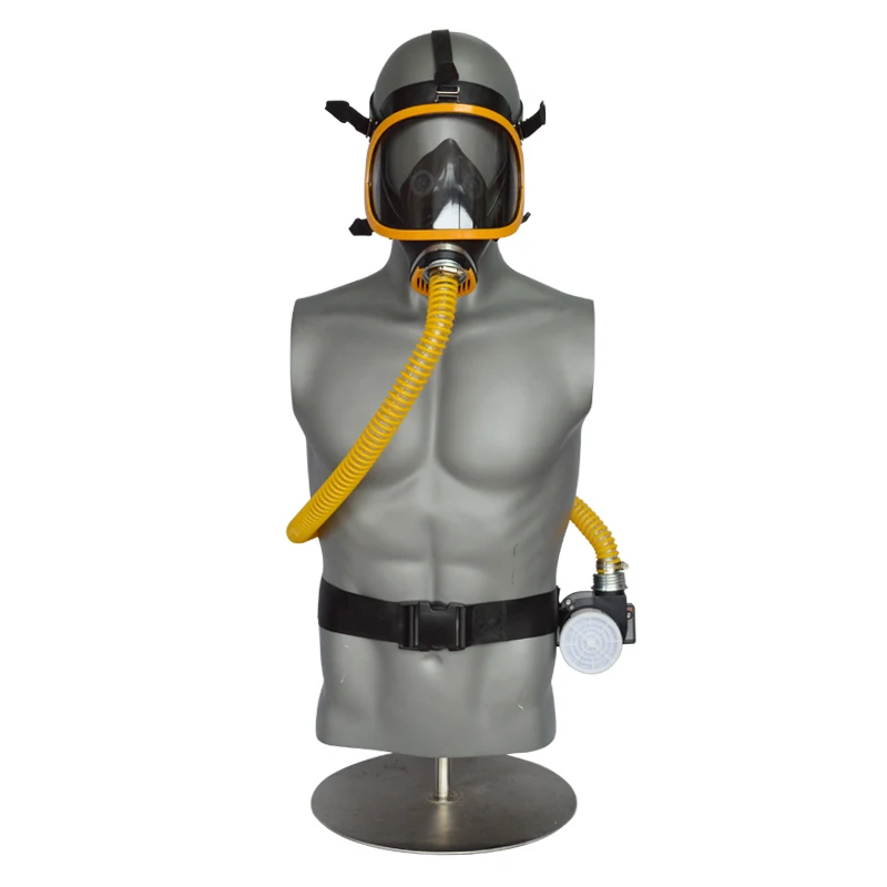 Backpack Electric Constant Flow Supplied Air Fed Full Face Gas Mask ...