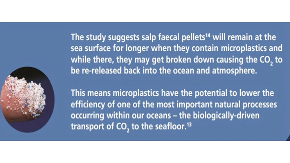 Pha Pbs U Shape Straw For Drinks -100% Biobased Fully Home Compostable ...