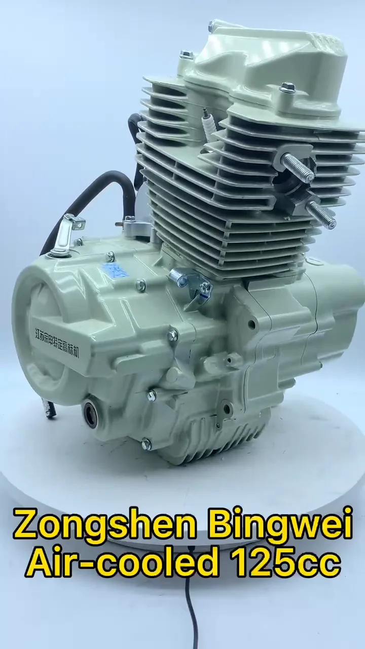 Zongshen Engine Air Cooled Cg125 Engine 125cc Cylinder Assy Carburetor ...