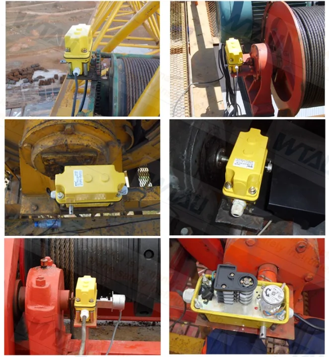 1 Ton Electric Chain Hoist Worm Adjusting Overload Limit Switch For ...