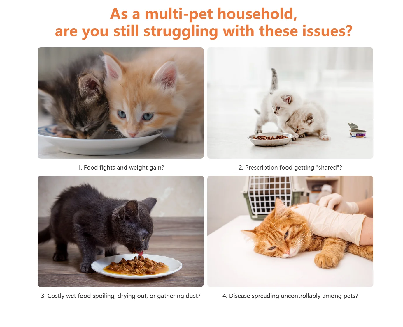 Factory Automatic Cat Feeder Timed Smart Dog Food Microchip Auto Pet ...