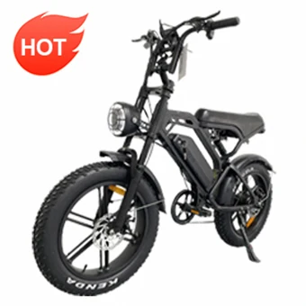 Company Overview - SMART RIDE TECHNOLOGY LIMITED