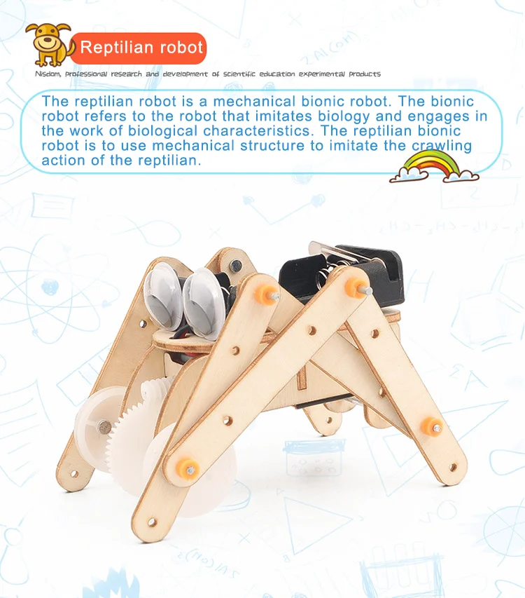 School Hand-Assembled DIY Model Physical Science STEM Educational Worm ...