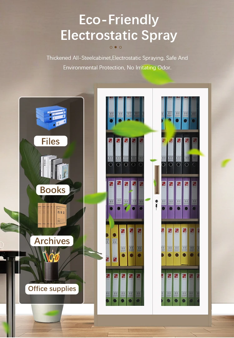 Custom 2-Door Modern Design Metal Storage File Cabinet with Swing Glass ...