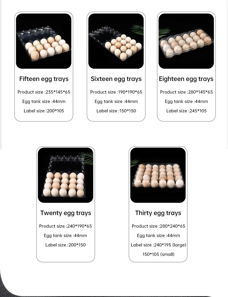 Disposable Transparent Pet Plastic Blister Trays 4 6 8 10 12 15 16 20 ...