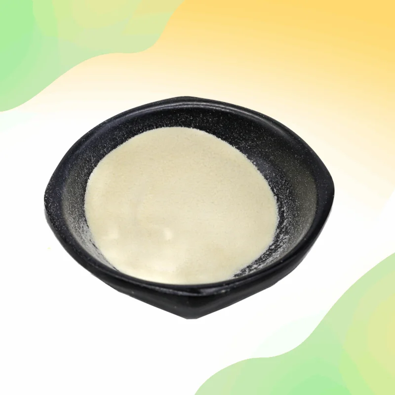 Food Grade High Quality Bulk Probiotics Lactobacillus Plantarum Powder ...