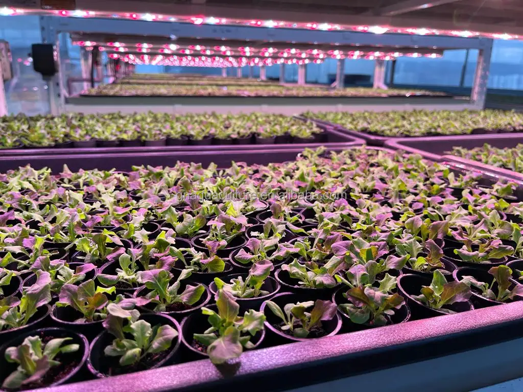 Greenhouse Ebb And Flow Table Rolling Benche Hydroponic System Grow ...