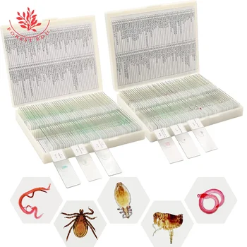Malaria Prepared Biology Parasite 10 Species Clear Cell Staining ...