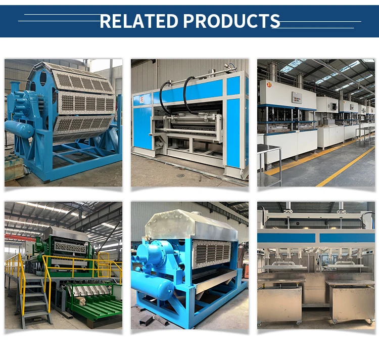 Factory Custom Full-automatic Small Pulp Forming Egg Tray Machines Egg ...
