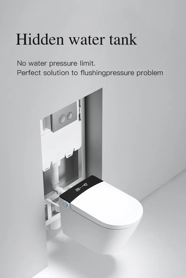 Smart Toilet with Automatic Bidet and Flush - Watermark Electric WC ...