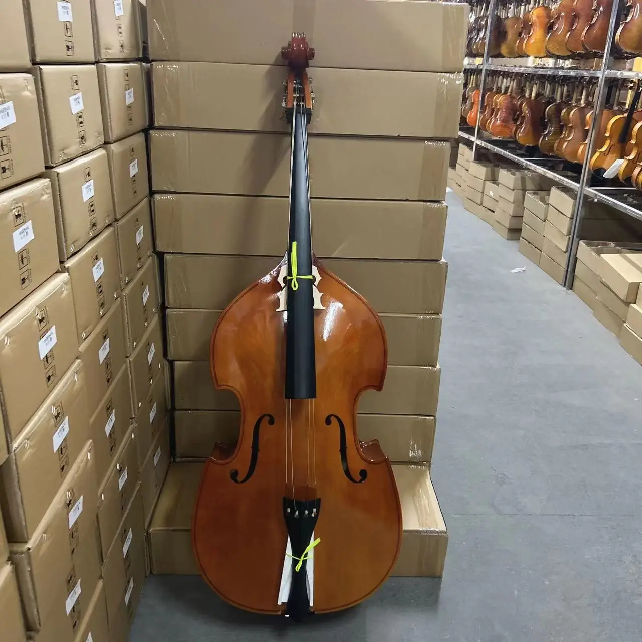 Beginner Upright Bass: Plywood Double Bass in Sizes 1/8 to 4/4 for ...