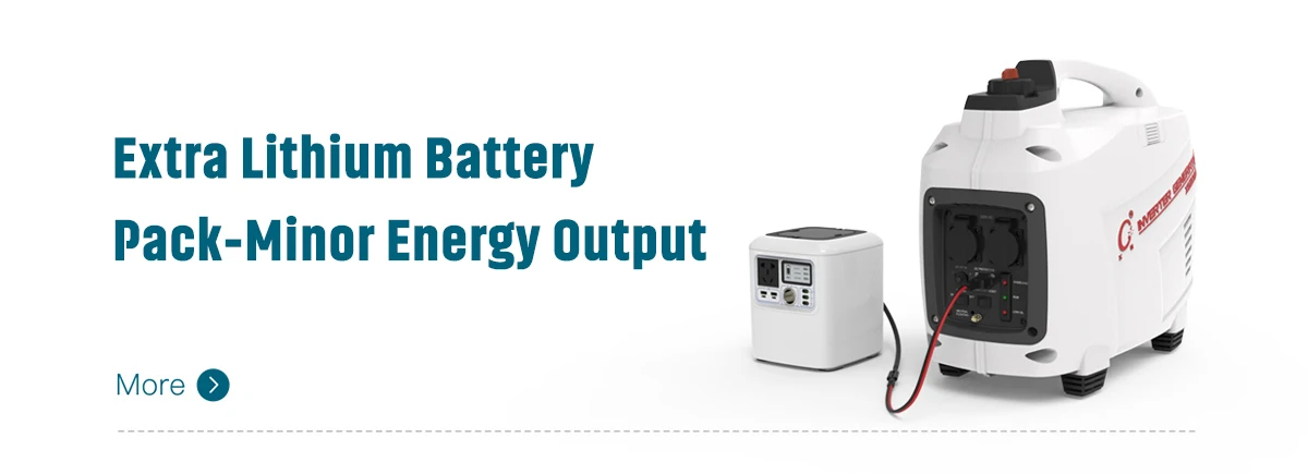 PSE 1000W Portable Gasoline Generator - Dual Fuel Powered