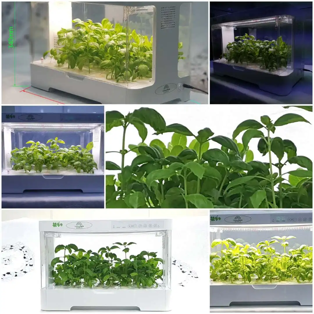 Mini Smart Garden For Plants Indoor Smart Garden Hydroponic Flower ...