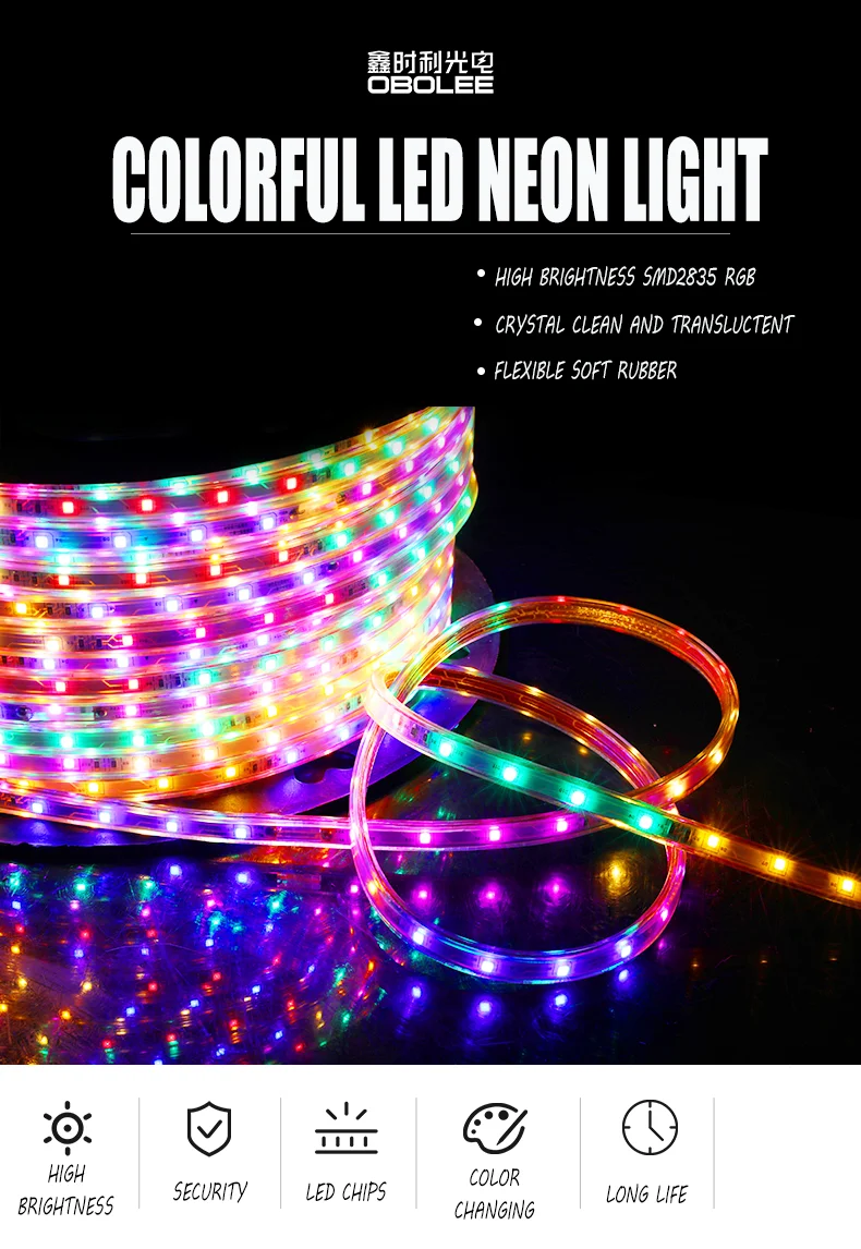 High Voltage 110V 220V 2835 RGB Wireless LED Strip Light IP65 ...