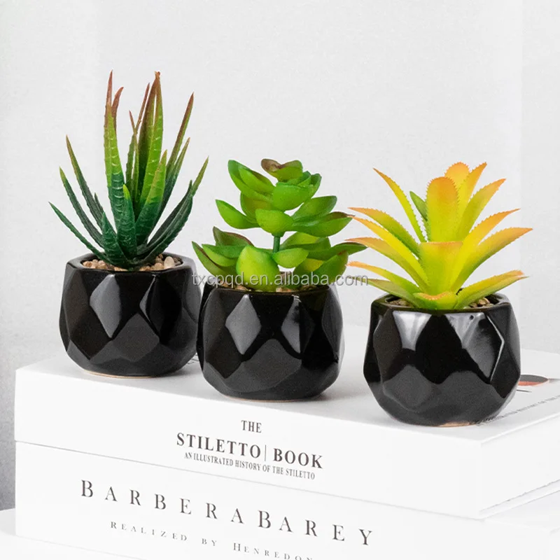 MF-LP72Wholesale Succulents with Ceramic Flower Pots and Plastic ...