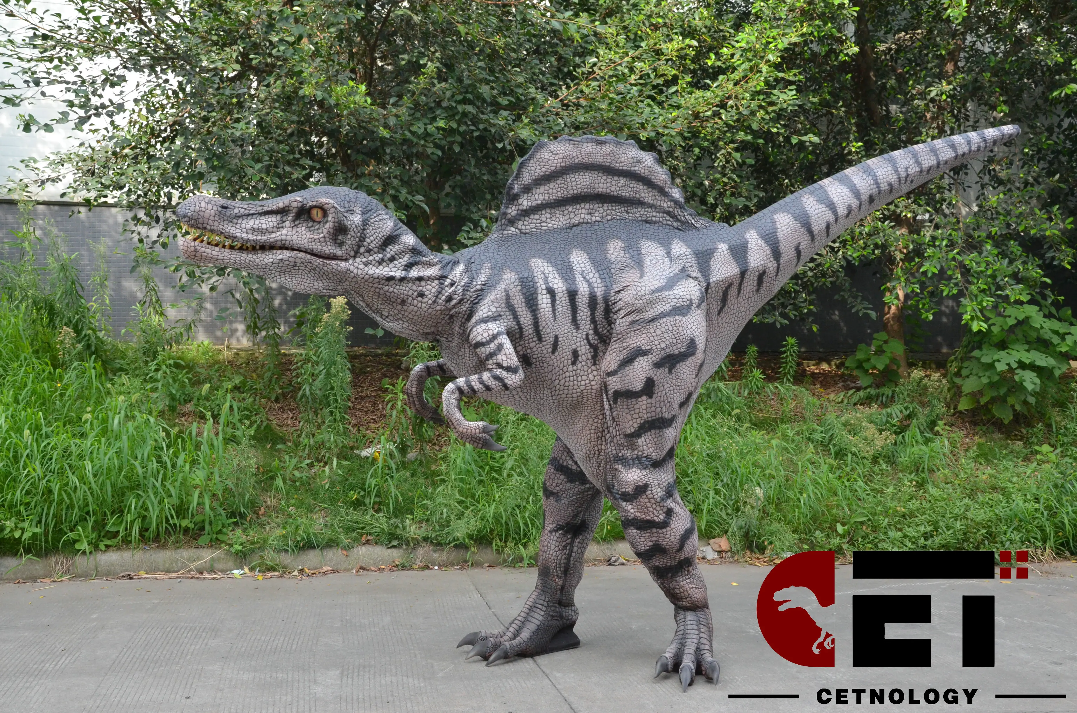 Cet Dino Dinosaur Velociraptor Statue Real Size Raptor Sculpture ...