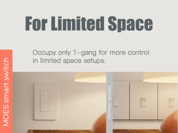 MOES Smart Double Light Switches - Wi-Fi 2.4ghz Control