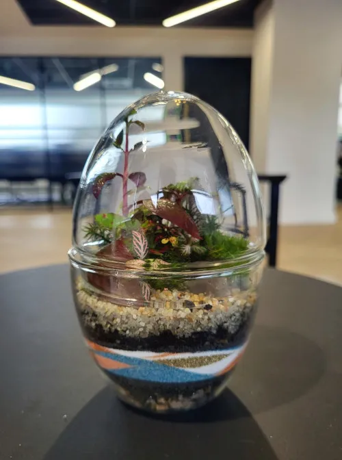 Unique Egg Shape High Borosilicate Glass Planter Terrariums