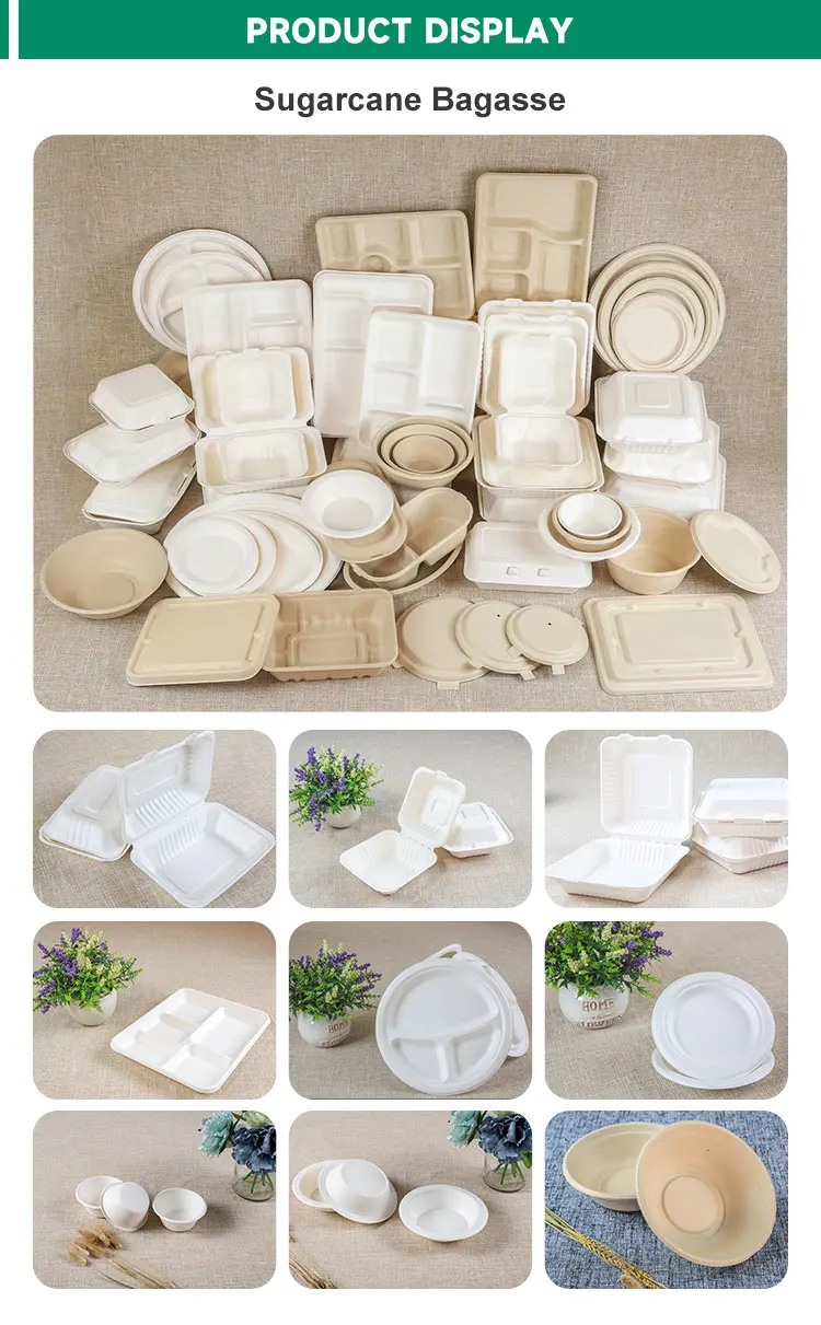 Sugarcane Bagasse Tableware/ Sugarcane Tray/ 5 Compartment/6 ...