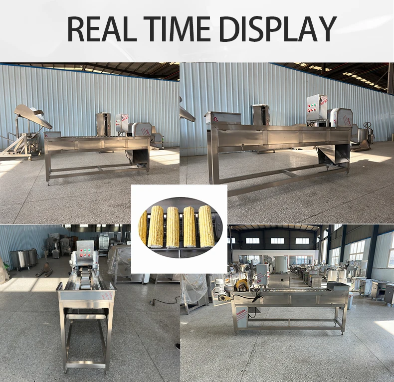 Commercial Sweet Corn Cob Fully Automatic Head And Tail Cutting Machine ...