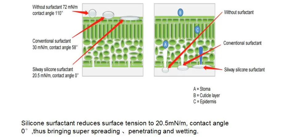 Super Low Foam Organosilicone Spray Adjuvant for Foliar Spraying