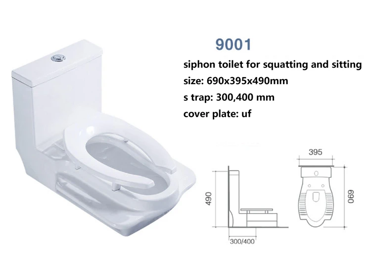 2 in 1 Sit Squat Toilet - Modern, Ceramic, and S-Trap Drainage