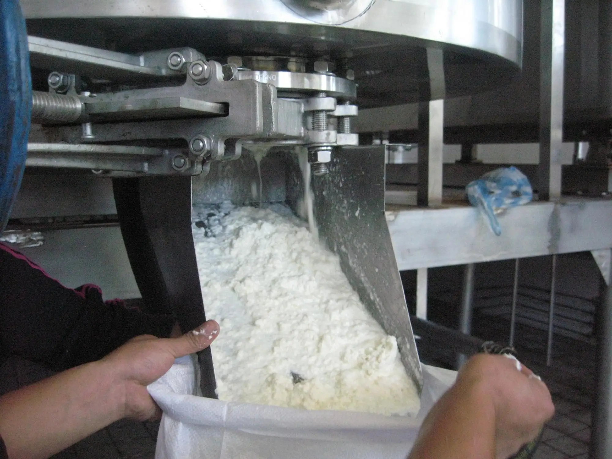 Genyond Mozzarella Cheese Drum Molding Machine / Filata Cheese Molding ...