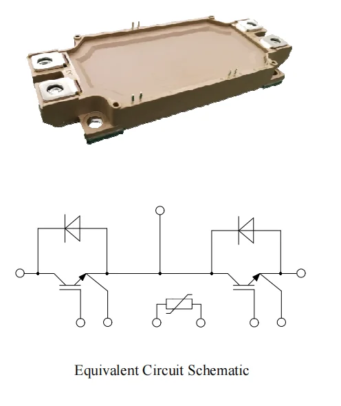 IGBT Power Module - 1700V, 450A, 3260W - Reliable Performance