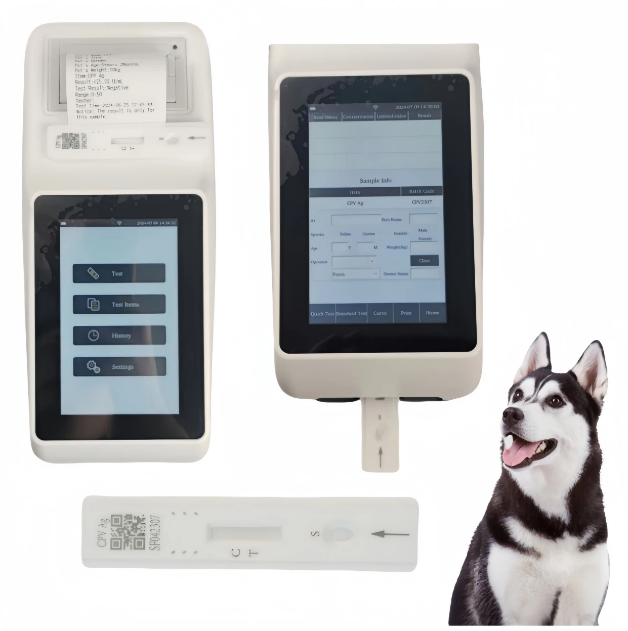 Vet Immunofluorescence Test Analyzer - Rapid & Reliable